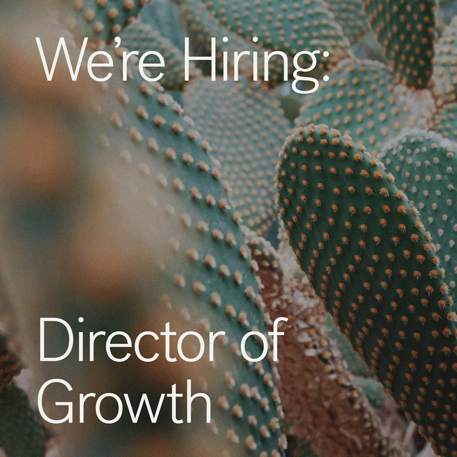 Current | The Design Journal of The Future Forward